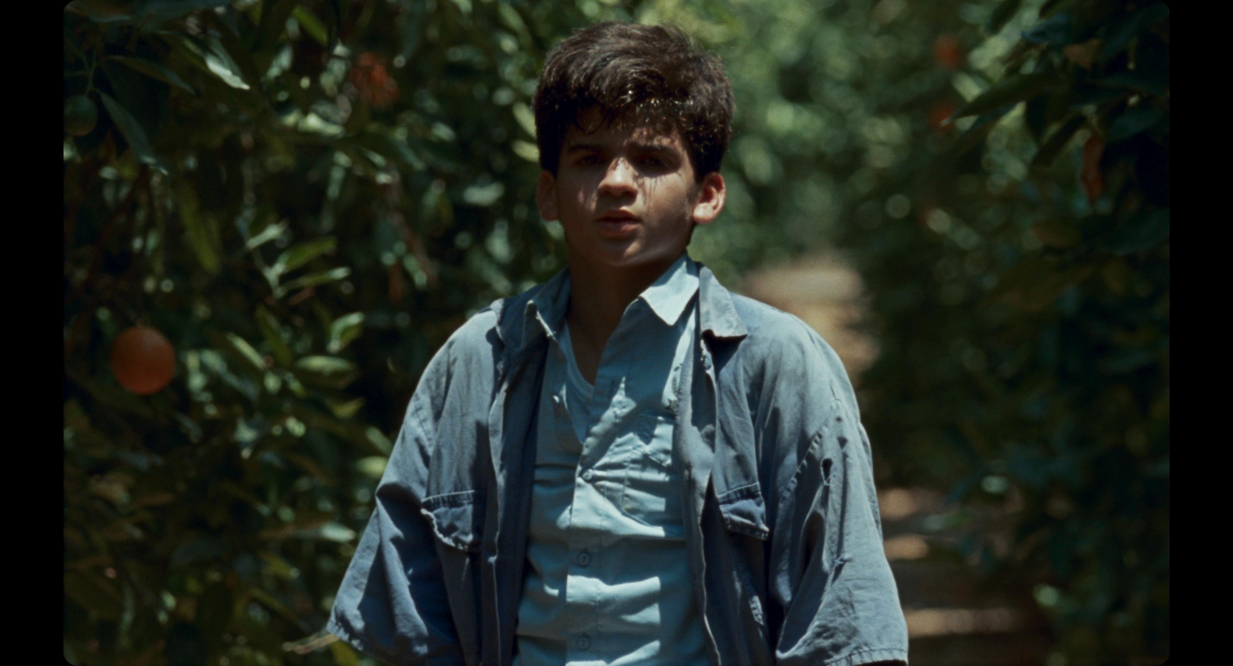 June Zero :: Cohen Media Group